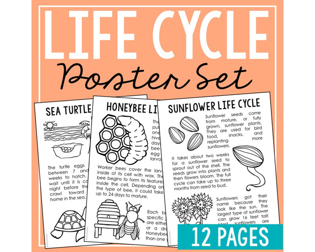 Life Cycles Science Posters for Kids | Homeschool Elementary Science ...