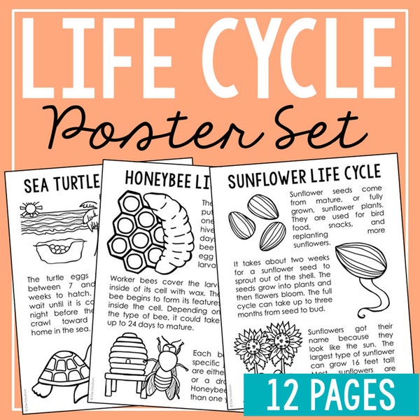 Homeschool Science - Etsy