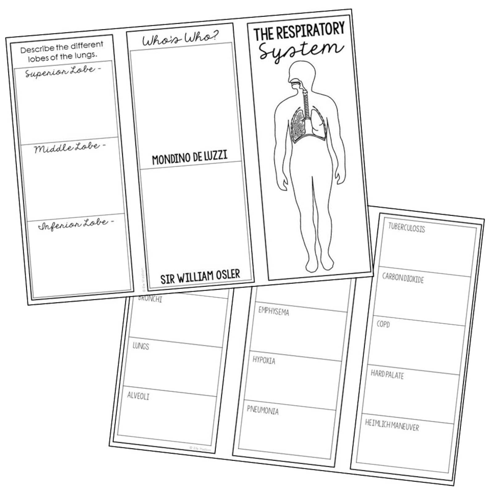 HUMAN BODY SYSTEMS Research Brochure Projects Science - Etsy