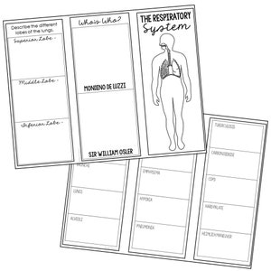 HUMAN BODY SYSTEMS Research Brochure Activity Projects | Science ...