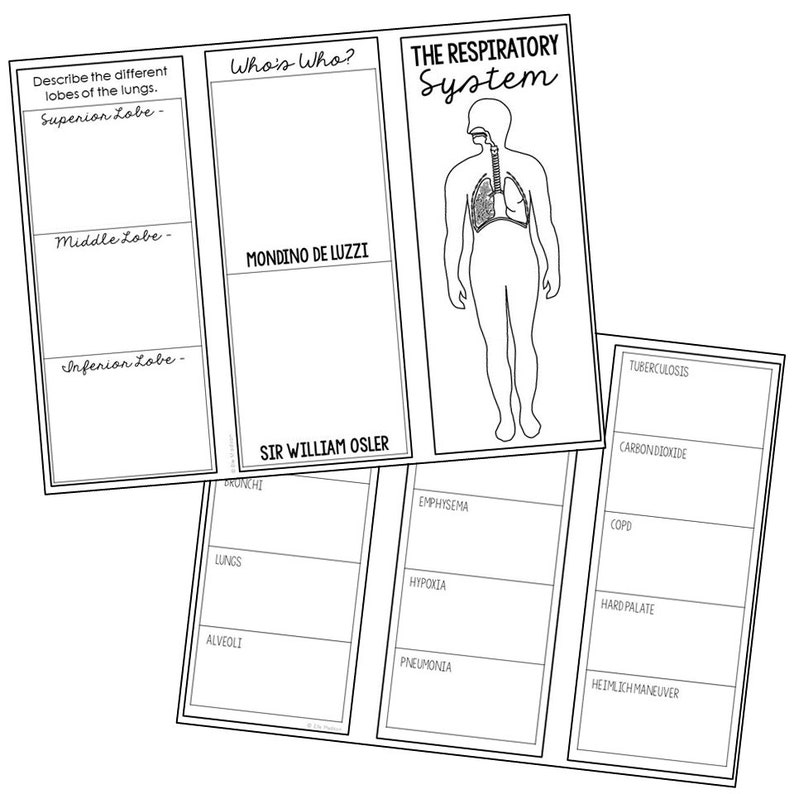 HUMAN BODY SYSTEMS Research Brochure Projects Science - Etsy