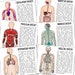 HUMAN BODY SYSTEMS Coloring Pages Activity Science Printables Anatomy ...