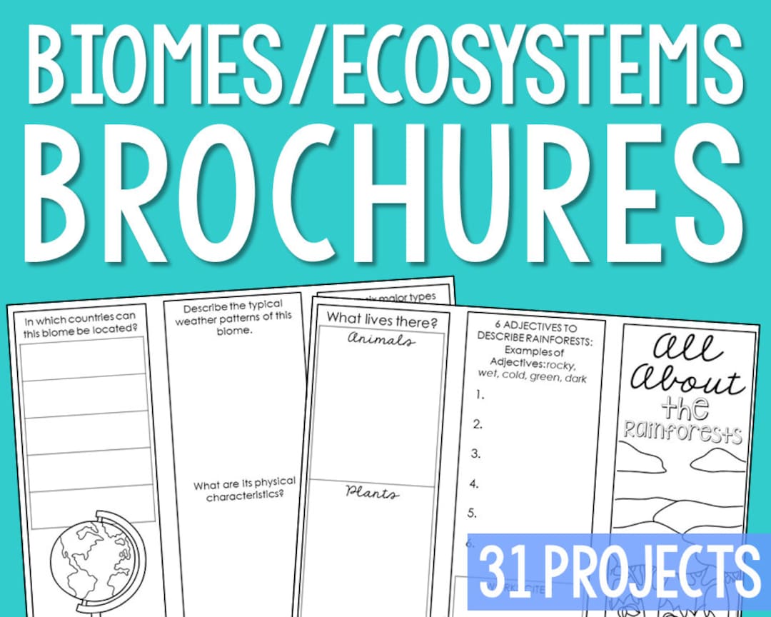 BIOMES LANDFORMS ECOSYSTEMS Research Projects Earth Science - Etsy
