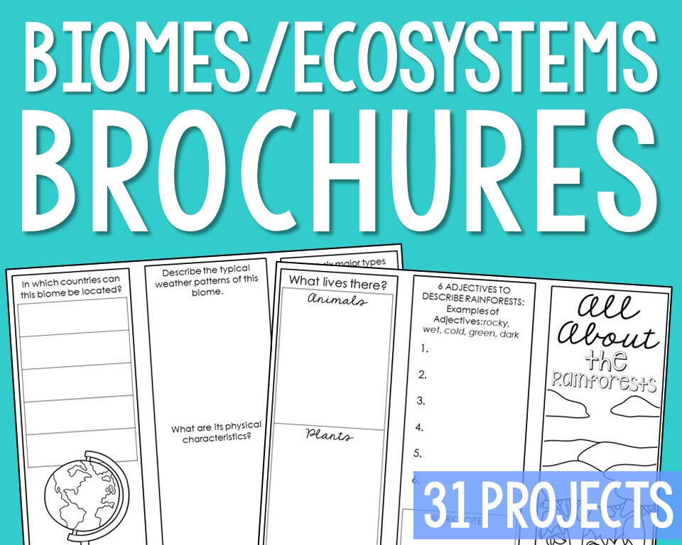 BIOMES LANDFORMS ECOSYSTEMS Research Projects Earth Science - Etsy