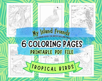 My Island Friends: A Hawaiian Coloring Book for Artists Big and Small ...