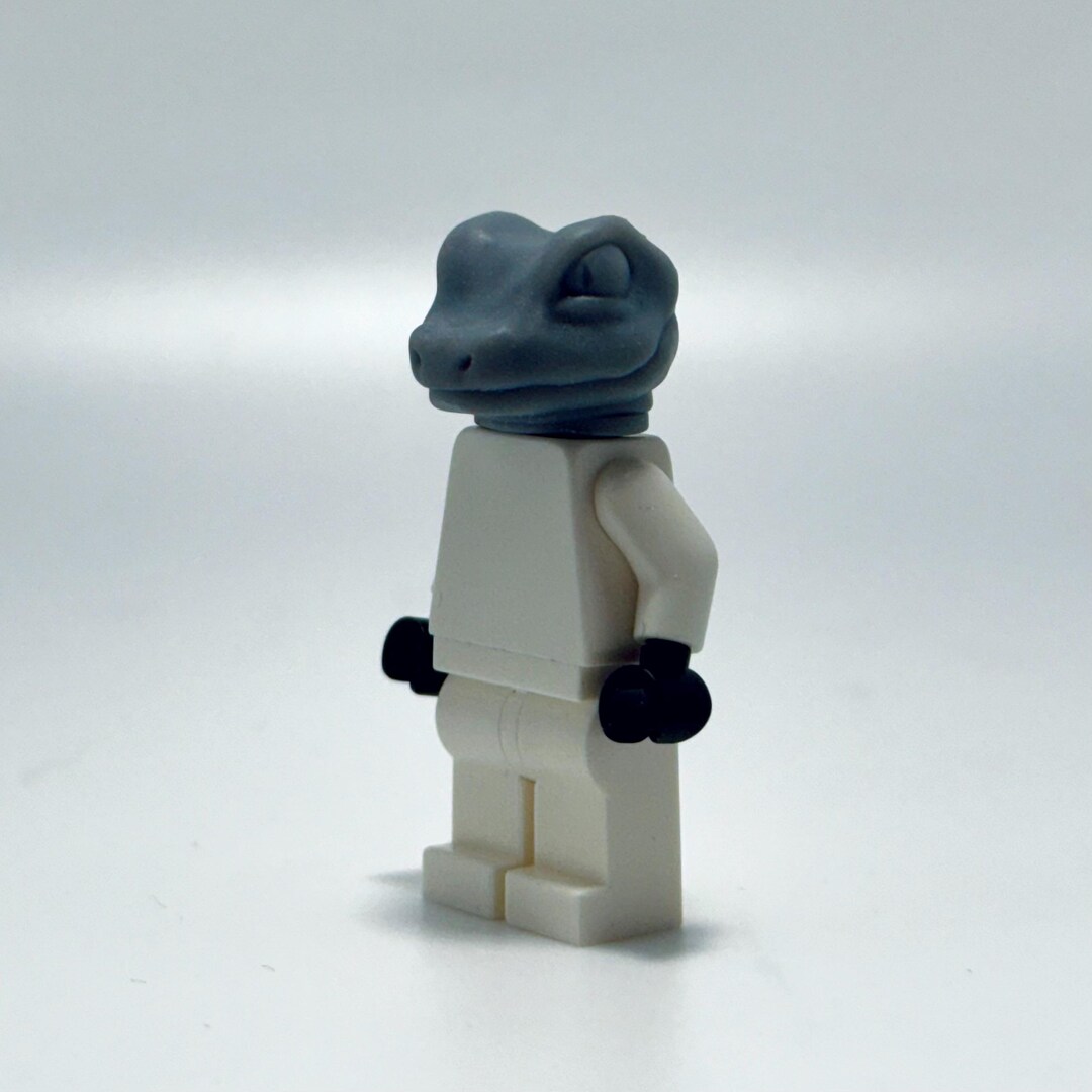 Custom Frog Minifigure Head - Etsy