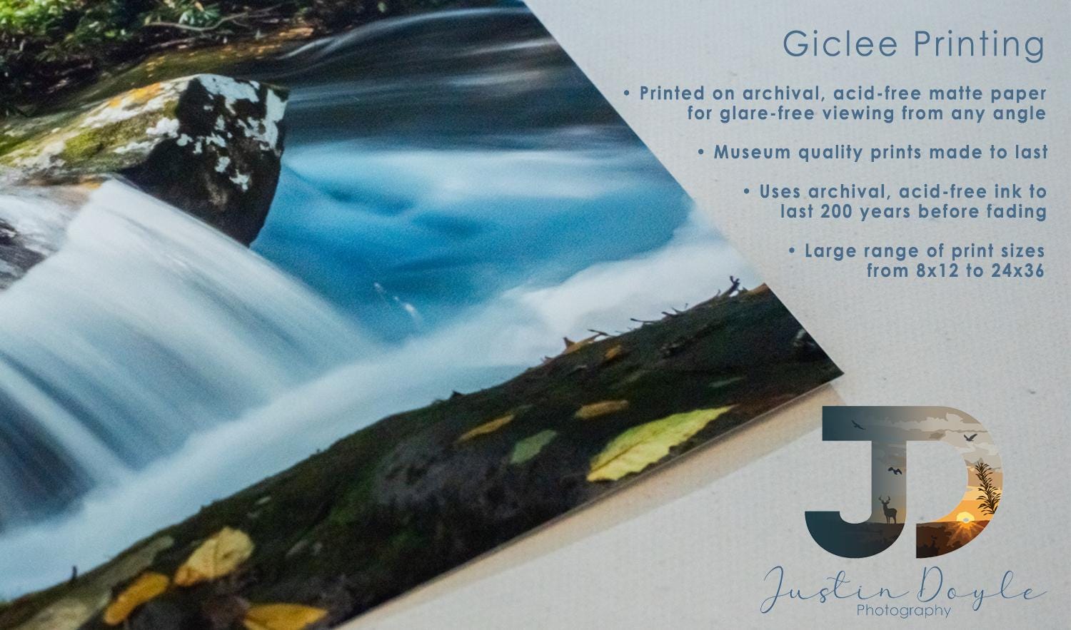 Eastern Phoebe on a Reed - Etsy