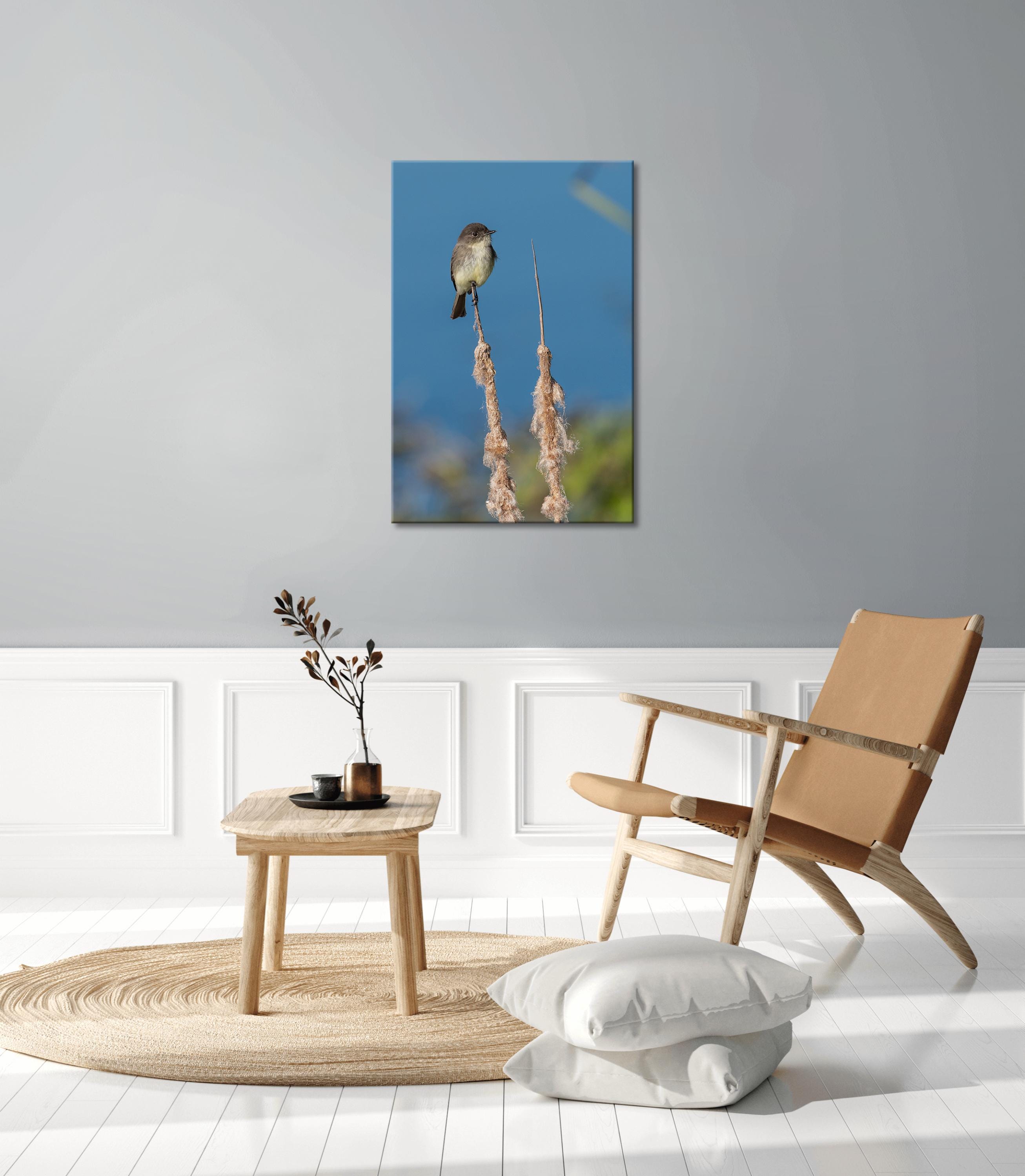 Eastern Phoebe on a Reed - Etsy