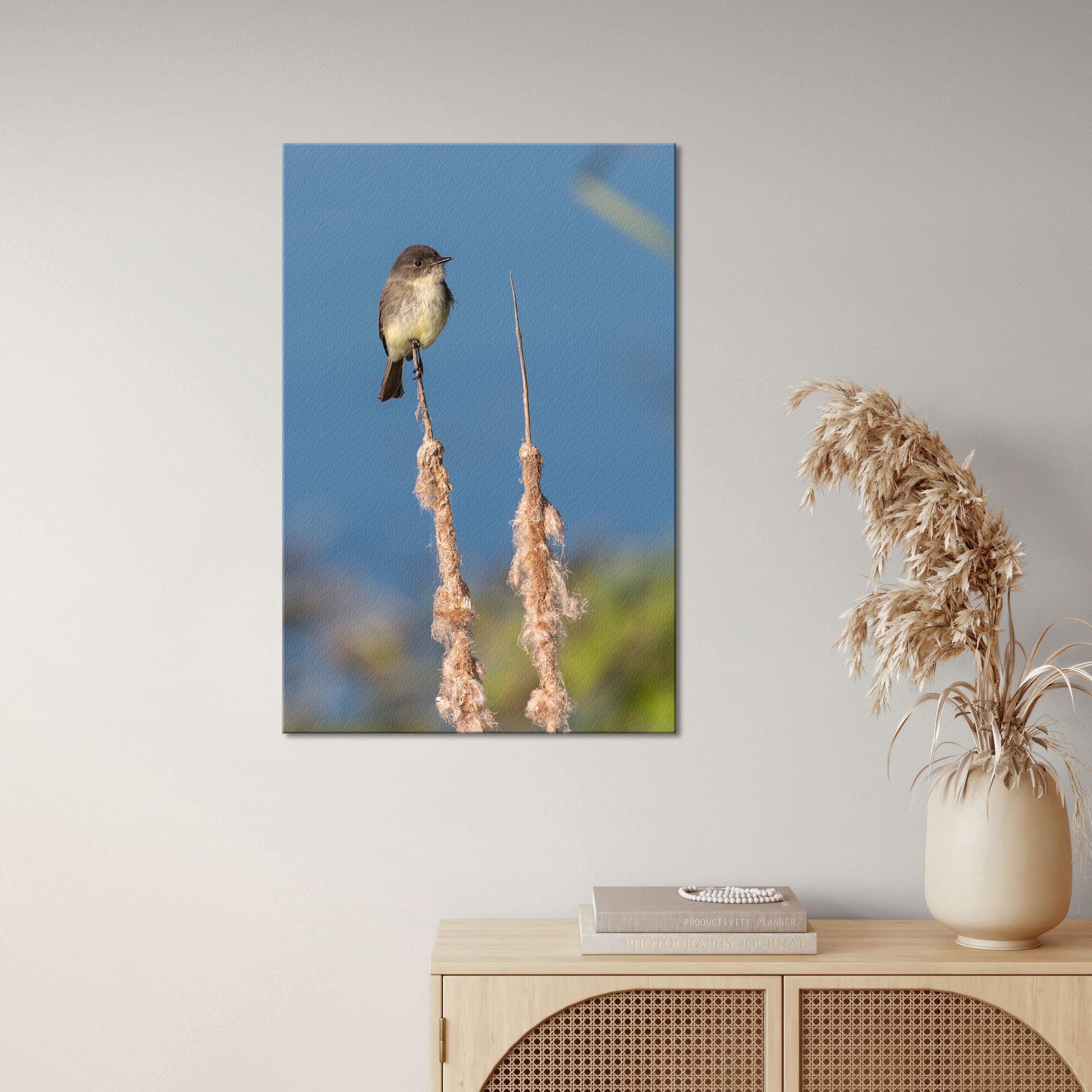 Eastern Phoebe on a Reed - Etsy