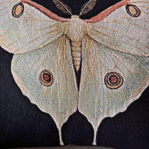 Woven Luna Moth Pillow | Moth Throw Pillow | Bohemian Decor | Eclectic ...