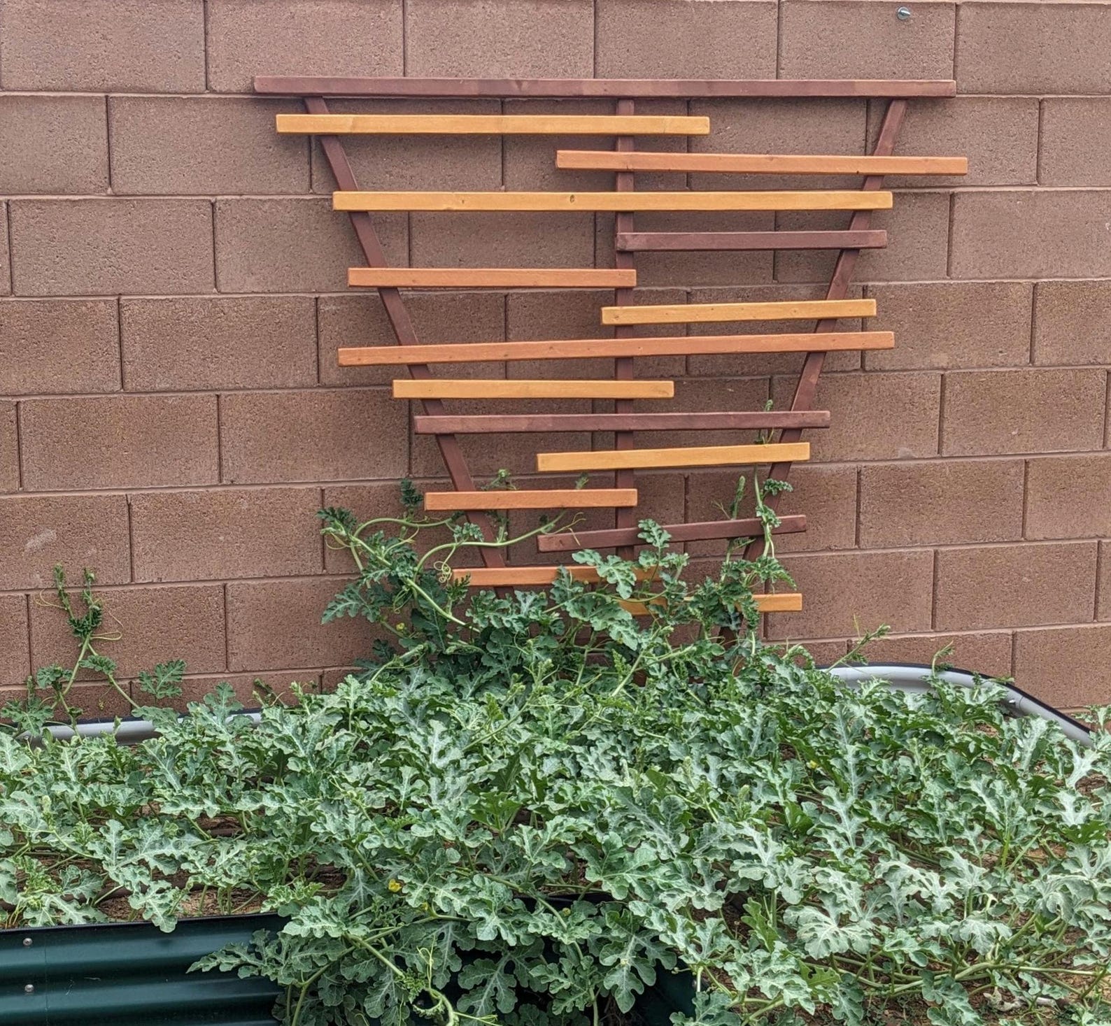 Modern Garden Trellis - Etsy