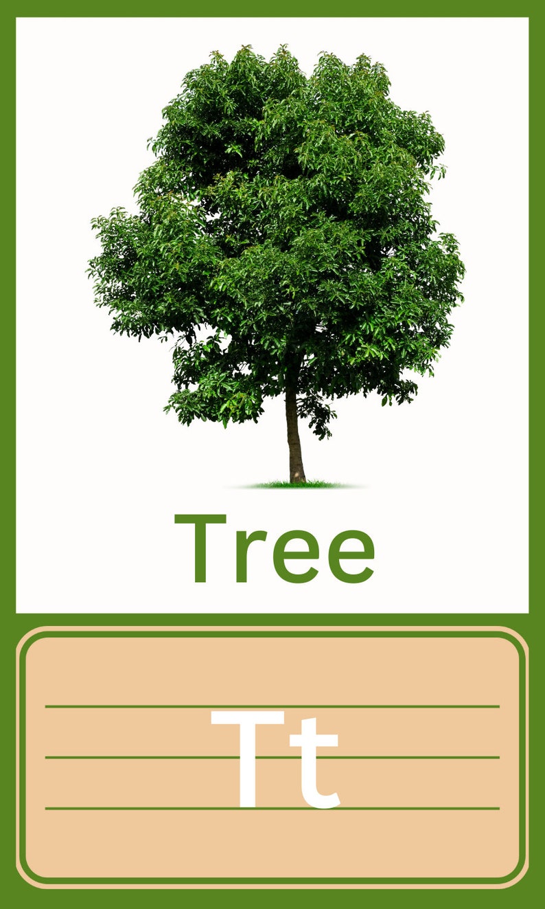 Digital Alphabet Flash Cards With Voice Over Educational English ...