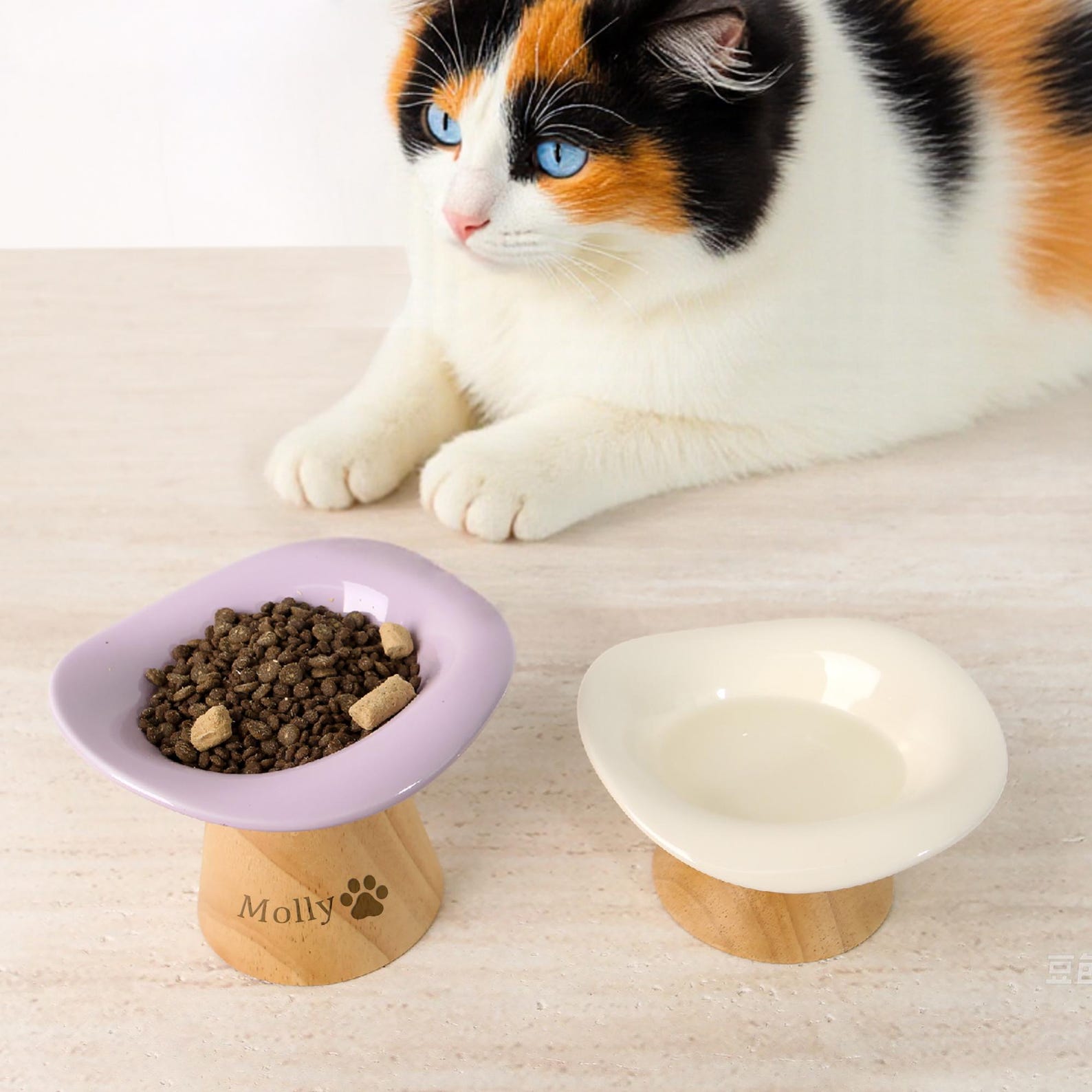 Custom Dog Bowl With Name – Ceramic Pet Bowl Set, Personalized Food ...