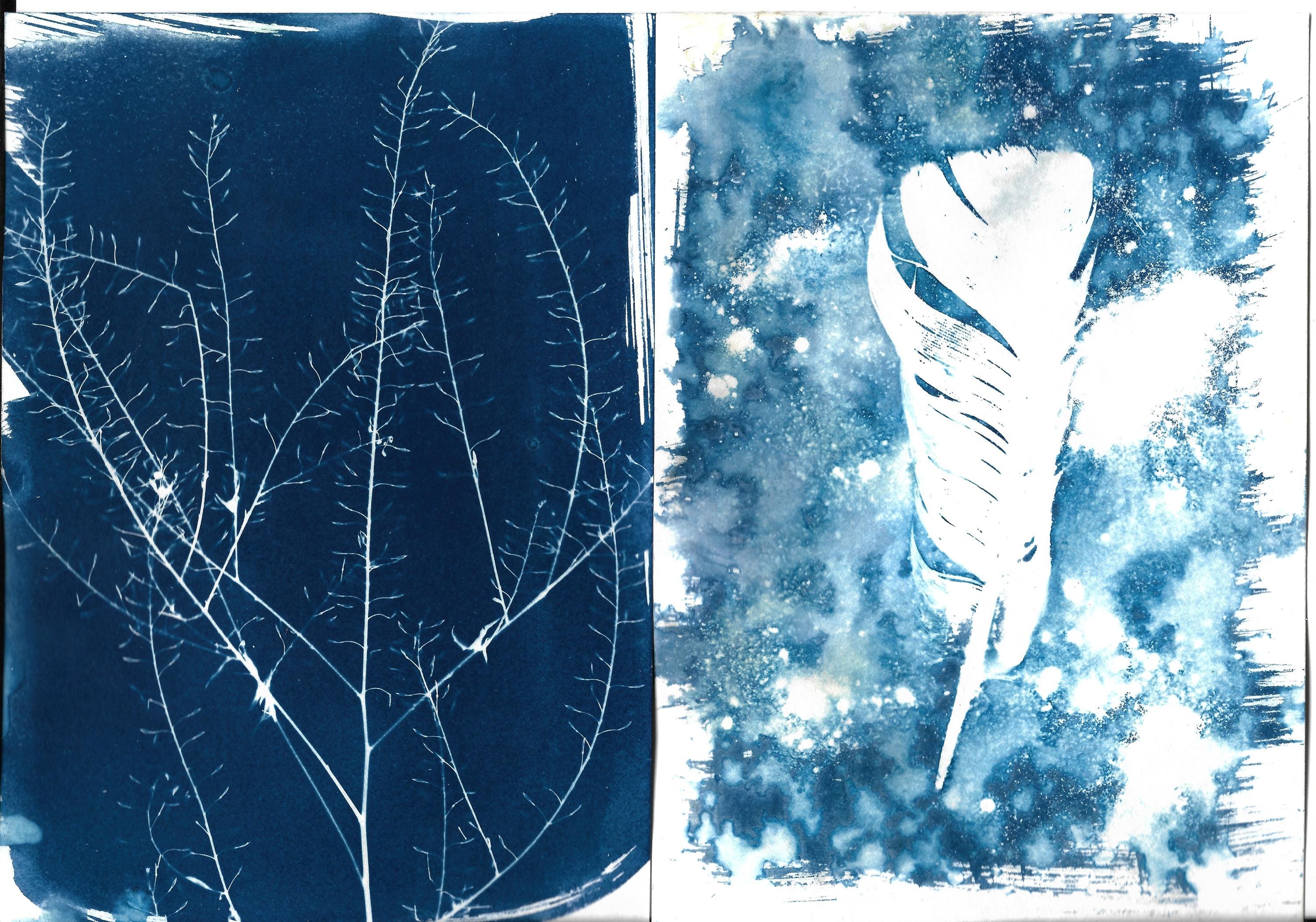 Set of Botanical Cyanotype Prints, Assorted 5 X 7 Prints - Etsy