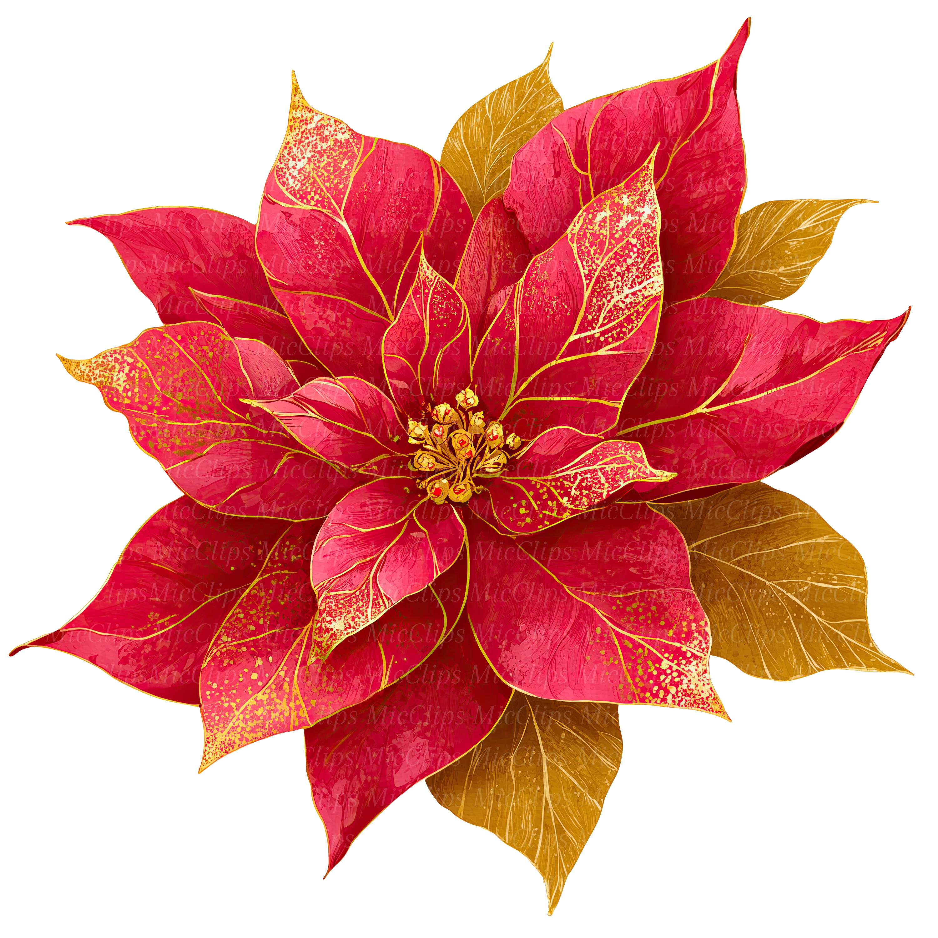 10 Poinsettia Flower Clipart, Christmas Floral Decorations, Red and ...
