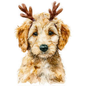 10 Festive Baby Labradoodles, Golden Doodle With a Santa Hat, Christmas ...