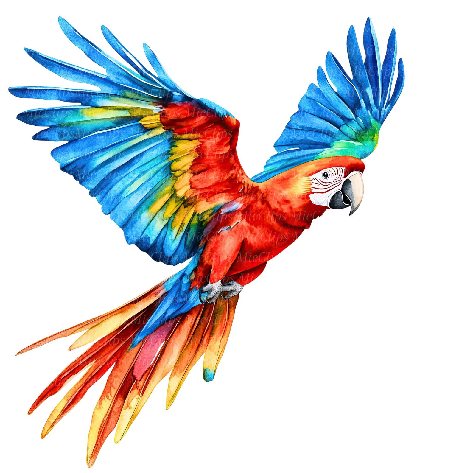 10 Macaw Bird Clipart, Watercolor Birds, Printable Clipart, High ...