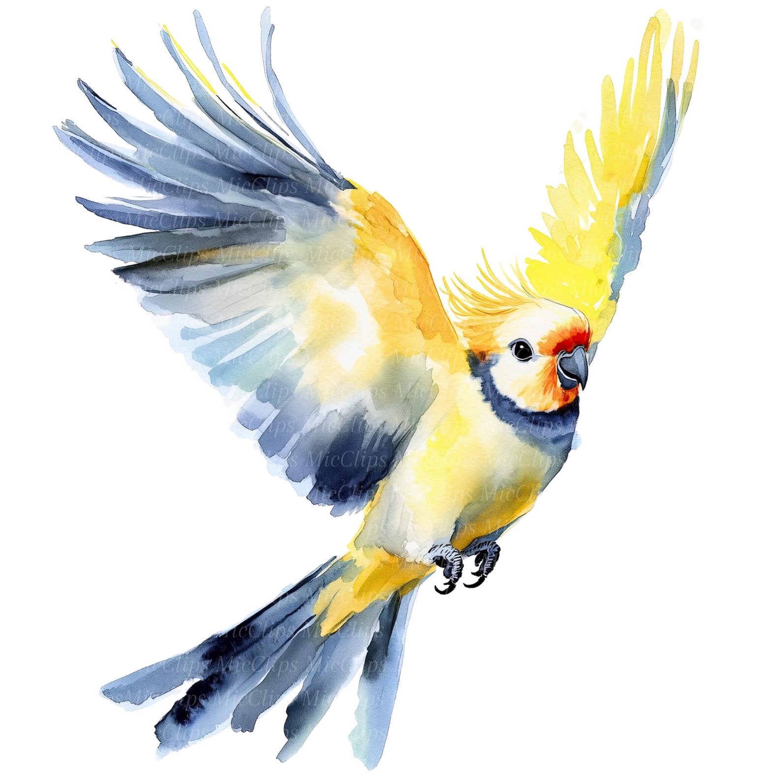 8 Bird Clipart, Watercolor Cockatiel, Printable Clipart, High Quality ...