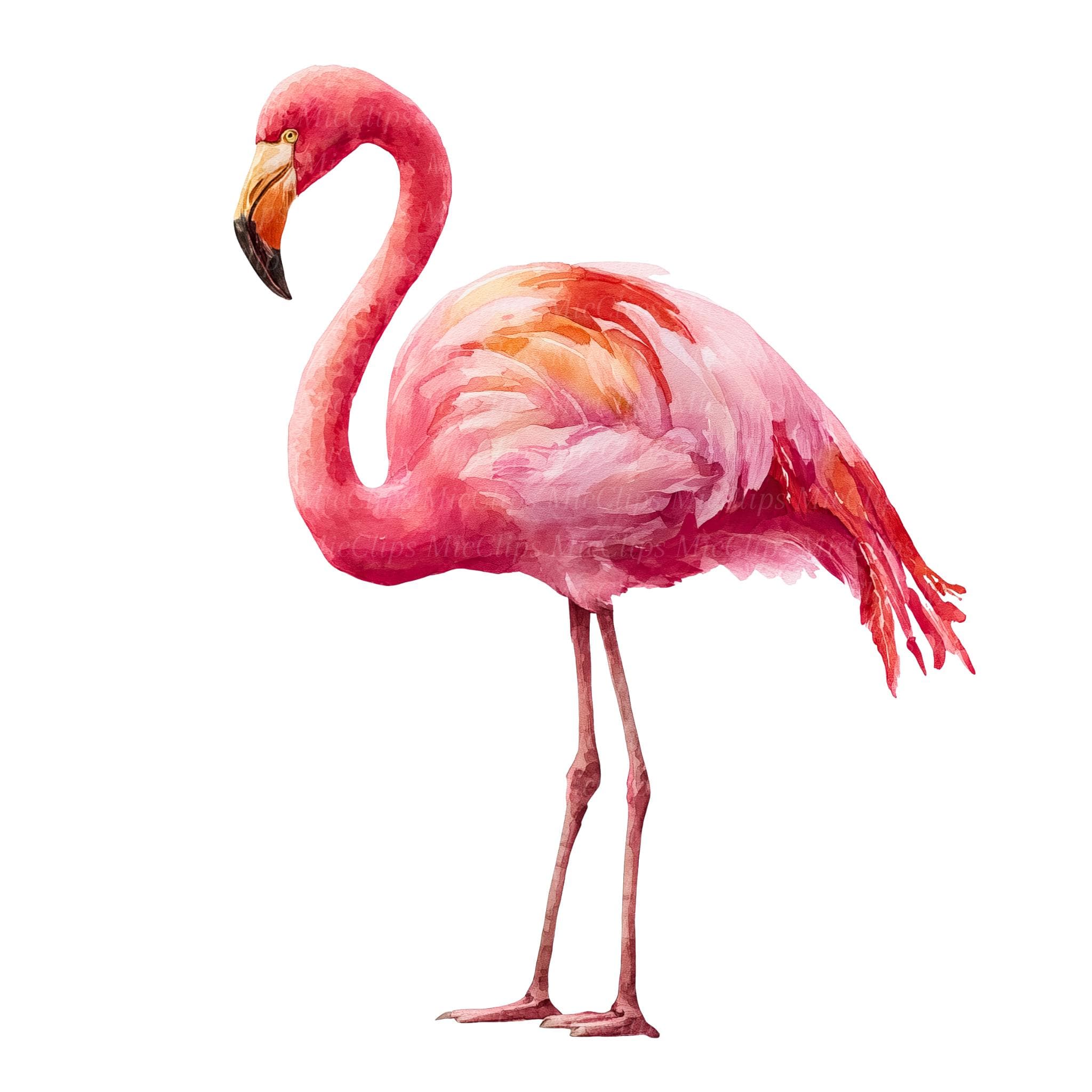 10 Watercolor Flamingo Clipart, Pink Flamingo PNG, Tropical Bird ...