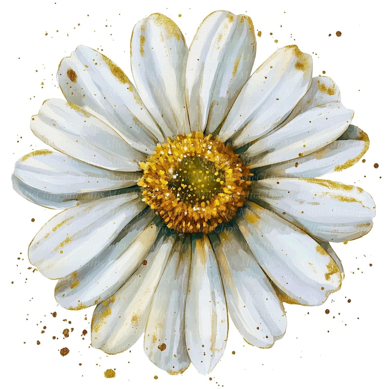 10 Watercolor Daisy Clipart, Flower Clipart, Printable Watercolor ...