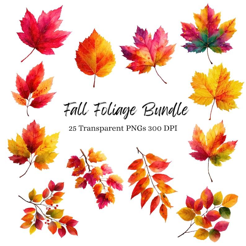 25 Fall Foliage Clipart, Watercolor Autumn Leaves, Seasonal Card Making ...