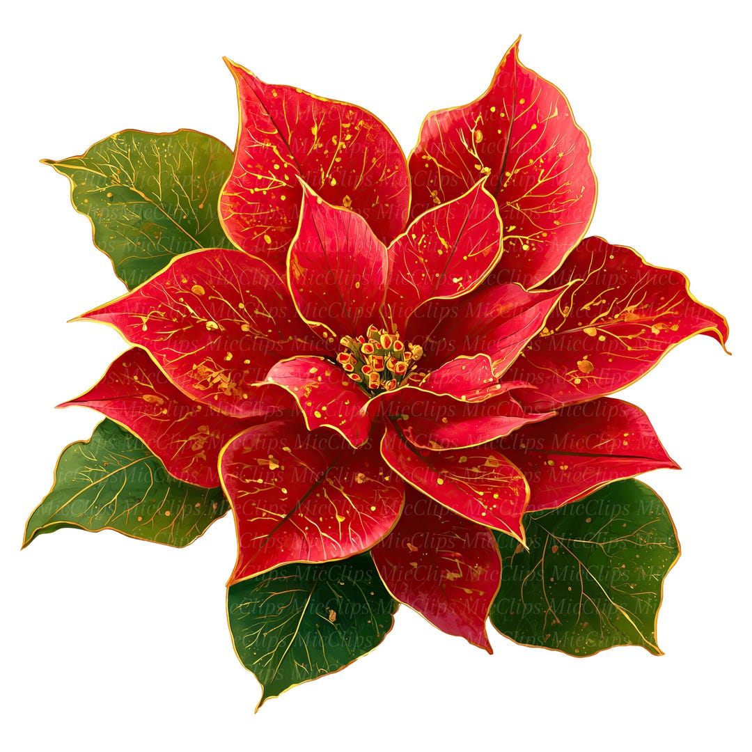 10 Poinsettia Flower Clipart, Christmas Floral Decorations, Red and ...