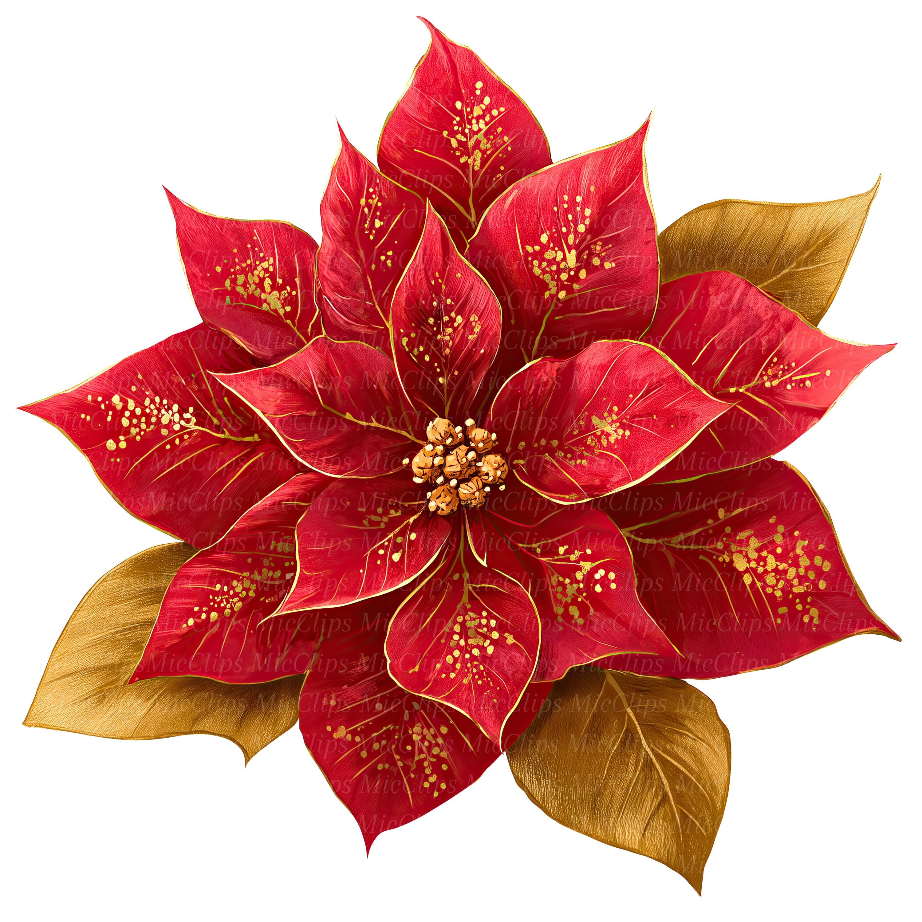 10 Poinsettia Flower Clipart, Christmas Floral Decorations, Red and ...