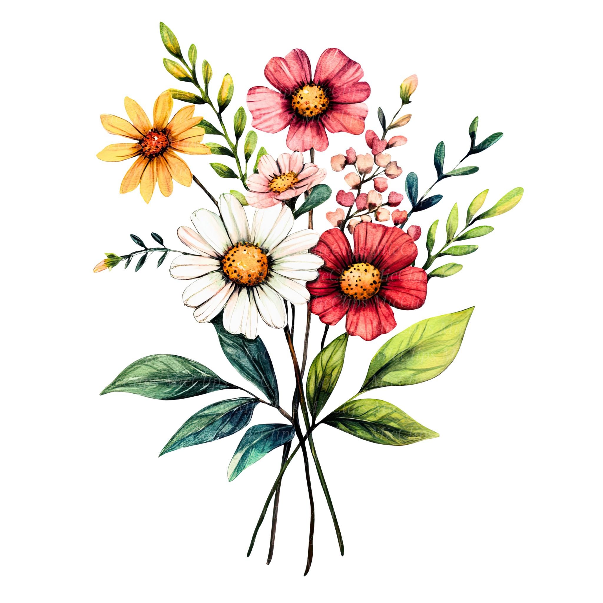 Daisy Bouquet Watercolor Clipart, Spring Flowers (digital Download) - Etsy