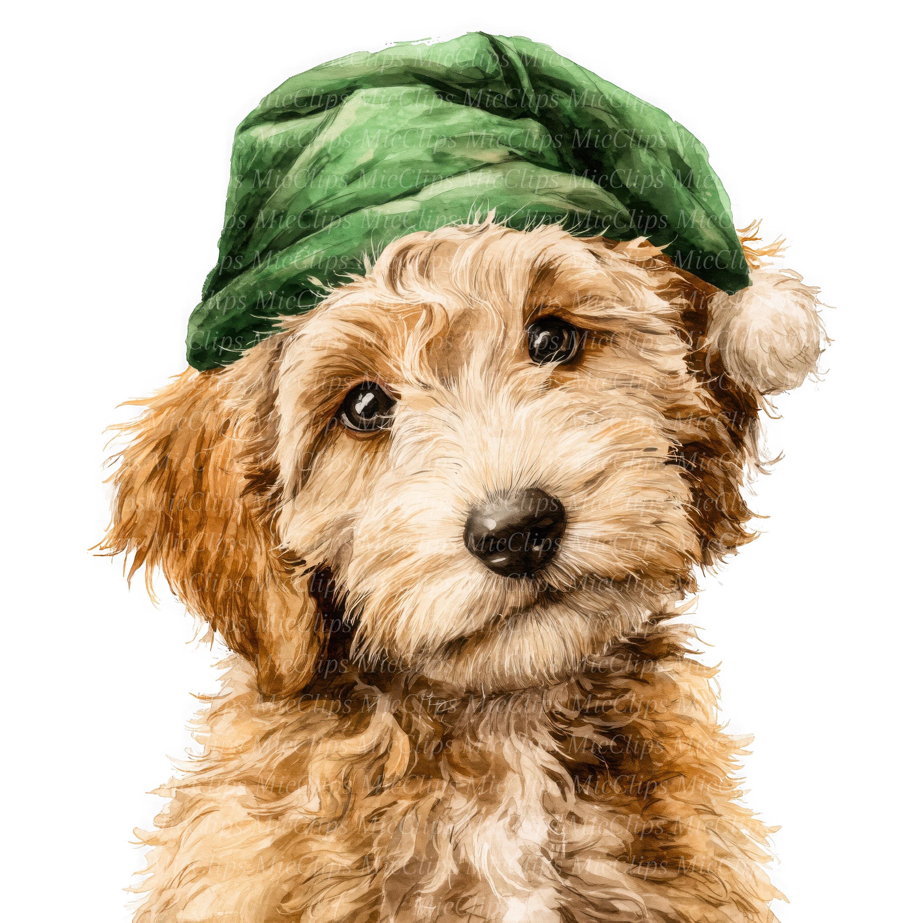 10 Festive Baby Labradoodles, Golden Doodle With a Santa Hat, Christmas ...