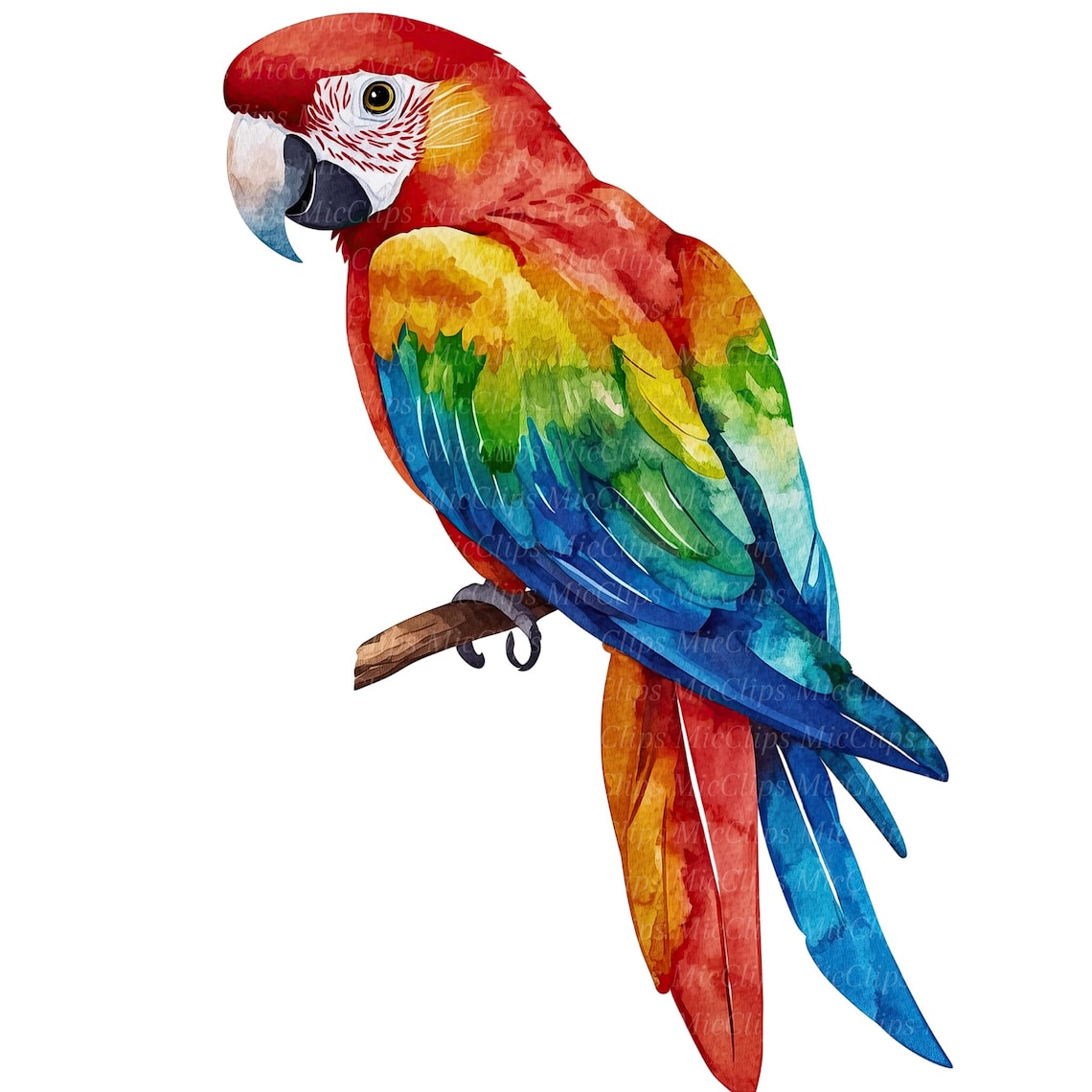 10 Macaw Bird Clipart, Watercolor Birds, Printable Clipart, High ...