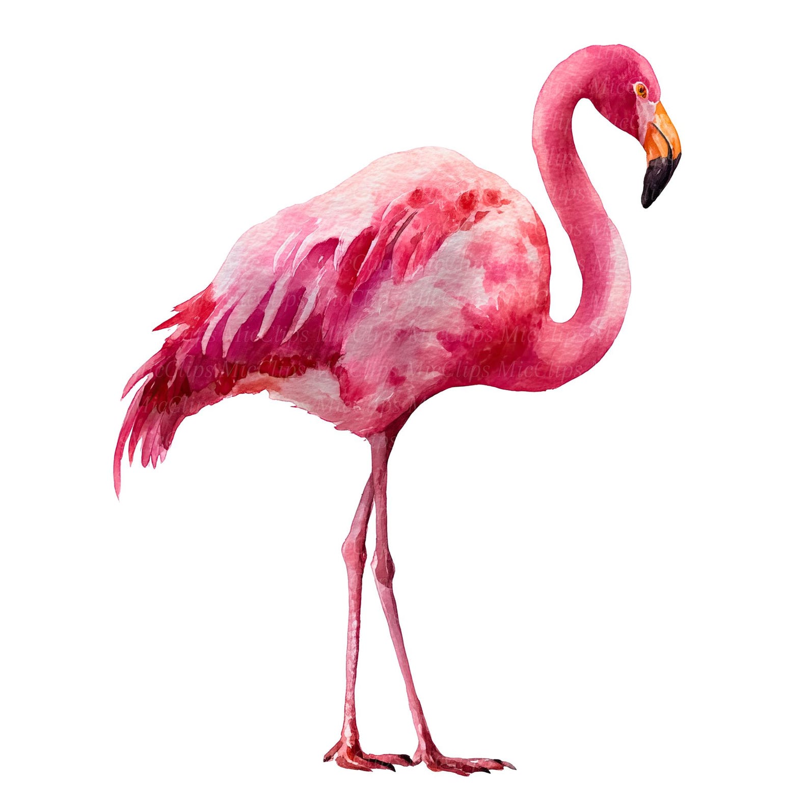 10 Watercolor Flamingo Clipart, Pink Flamingo PNG, Tropical Bird ...