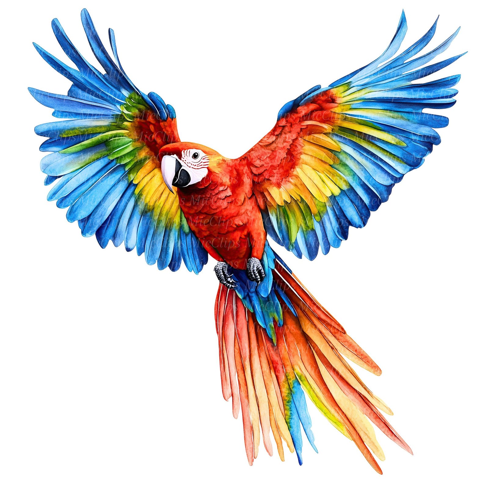 10 Macaw Bird Clipart, Watercolor Birds, Printable Clipart, High ...