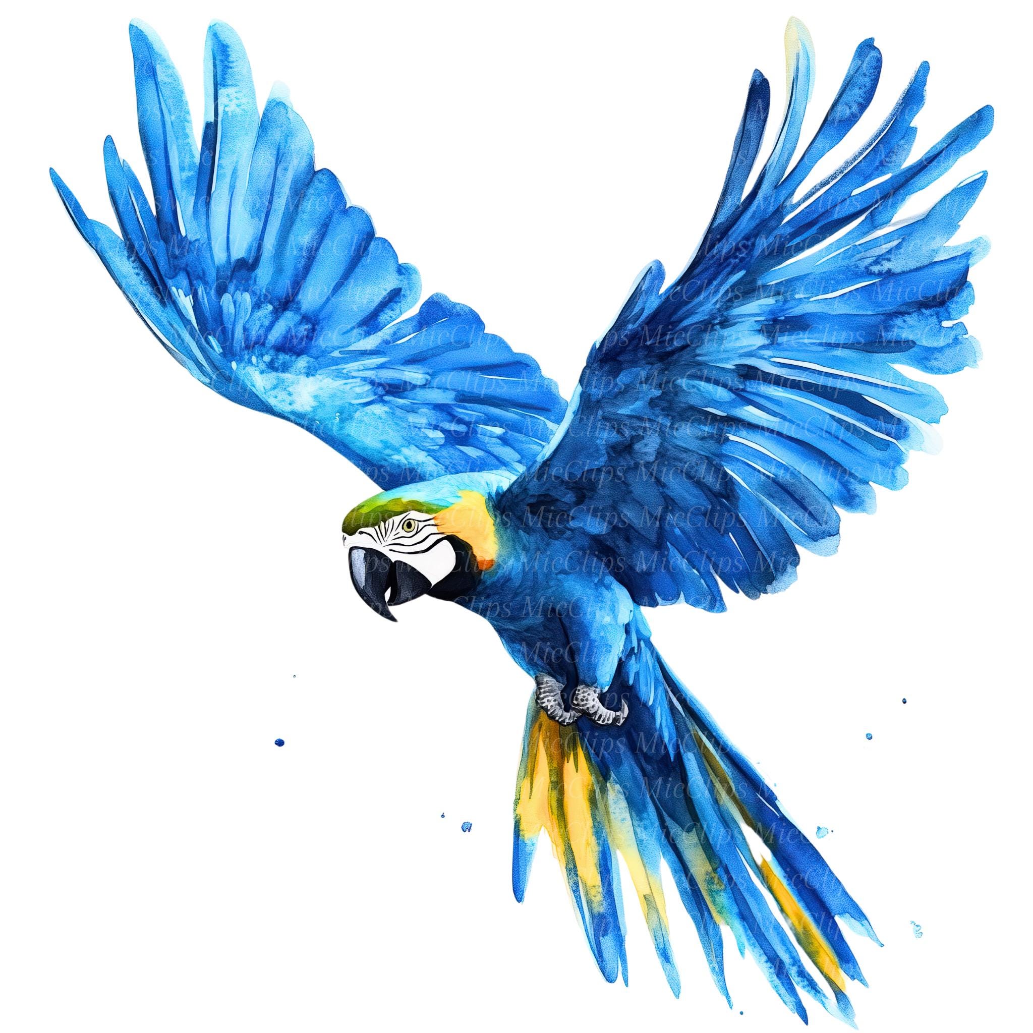 10 Macaw Bird Clipart, Watercolor Birds, Printable Clipart, High ...
