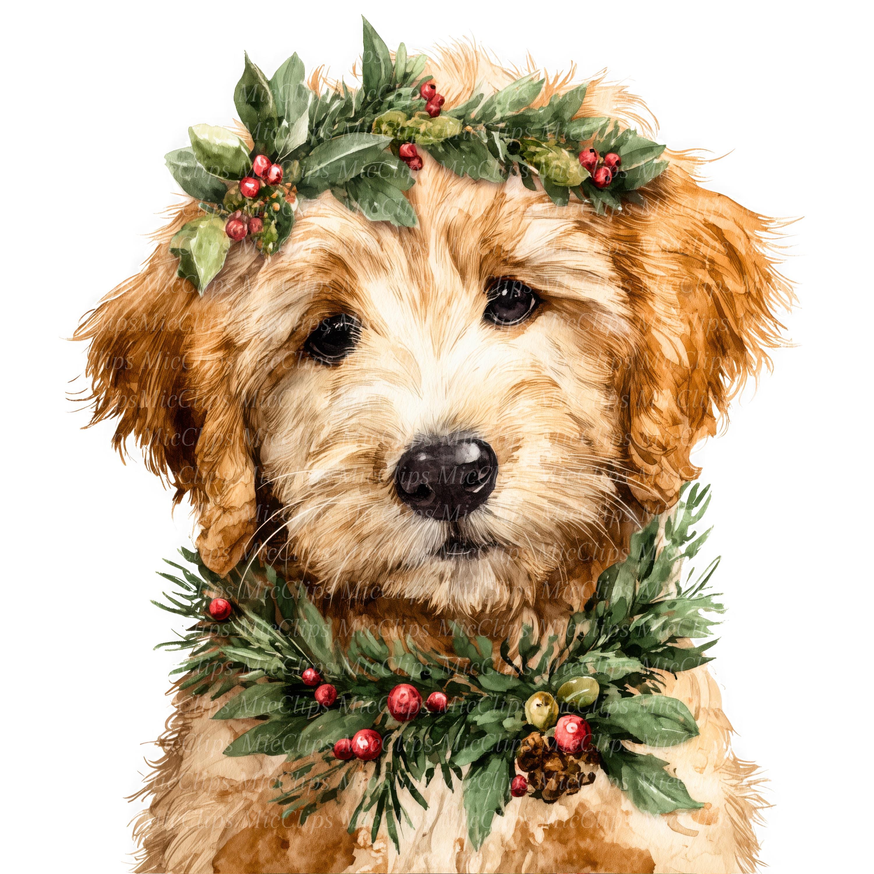 10 Festive Baby Labradoodles, Golden Doodle With a Santa Hat, Christmas ...