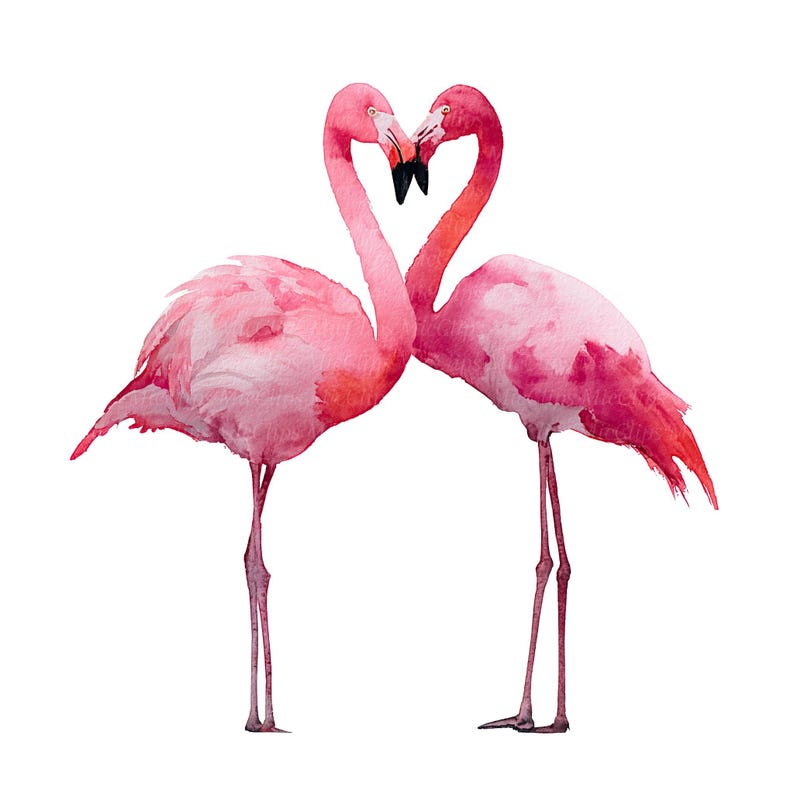 10 Watercolor Flamingo Clipart, Pink Flamingo PNG, Tropical Bird ...