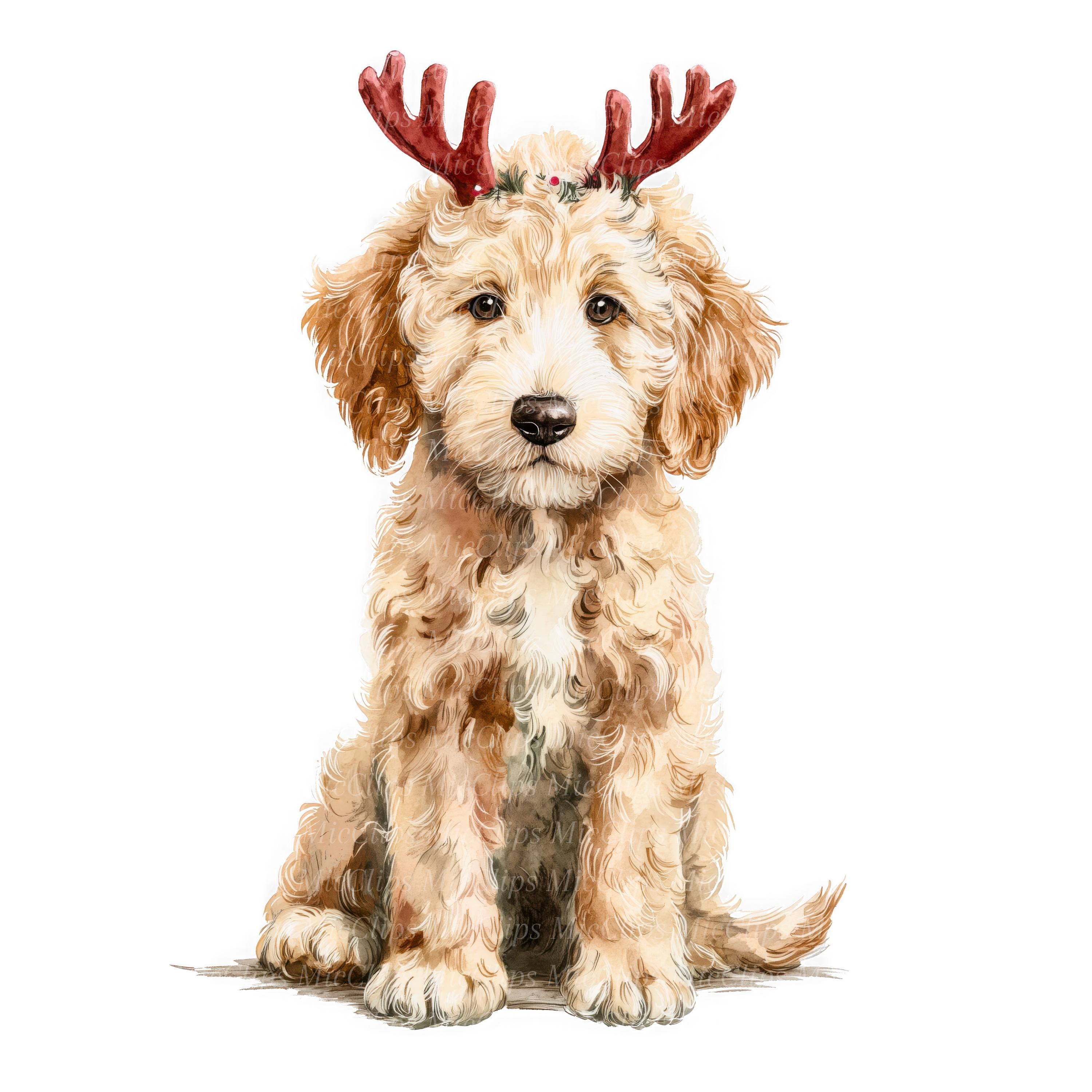 10 Festive Baby Labradoodles, Golden Doodle With a Santa Hat, Christmas ...