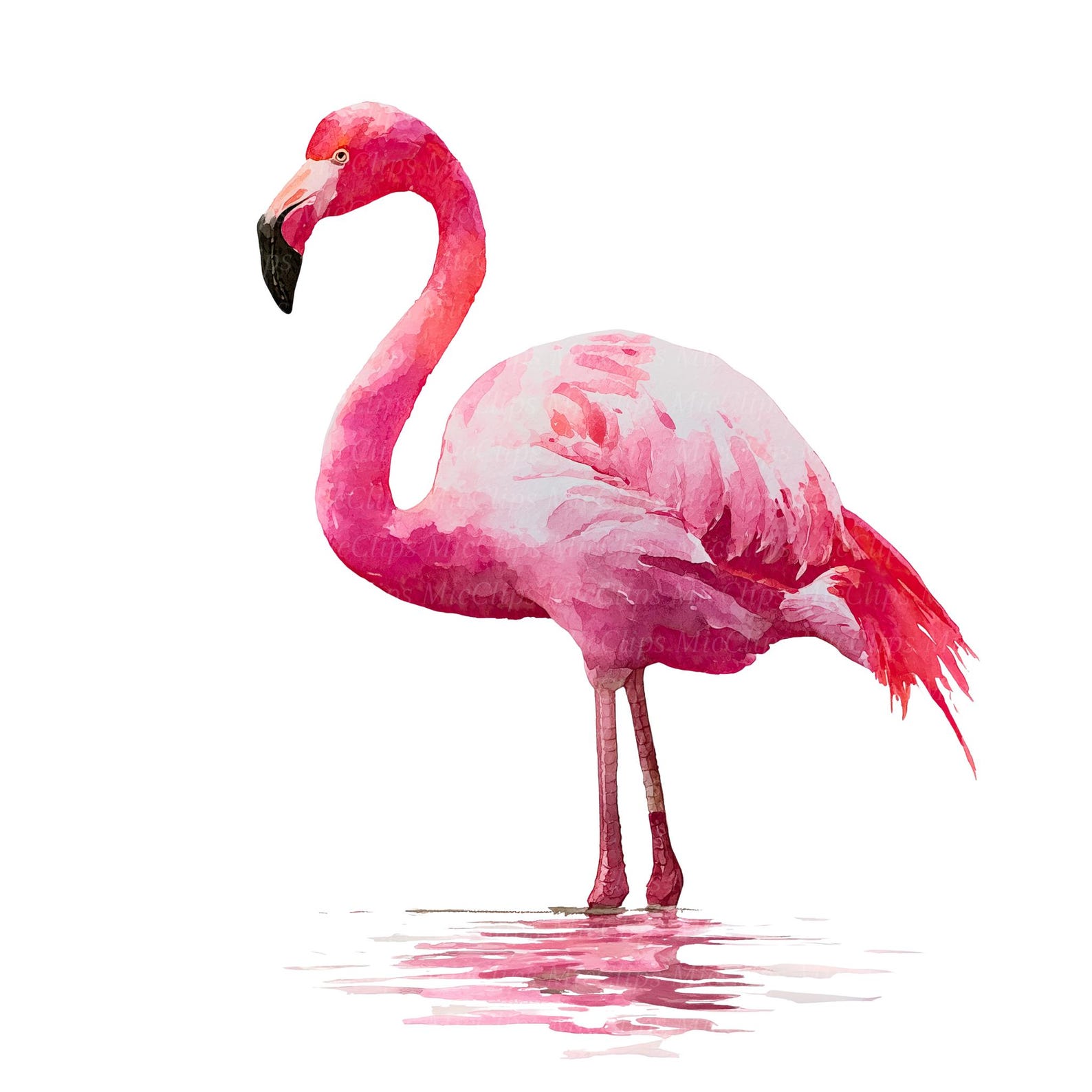 10 Watercolor Flamingo Clipart, Pink Flamingo PNG, Tropical Bird ...