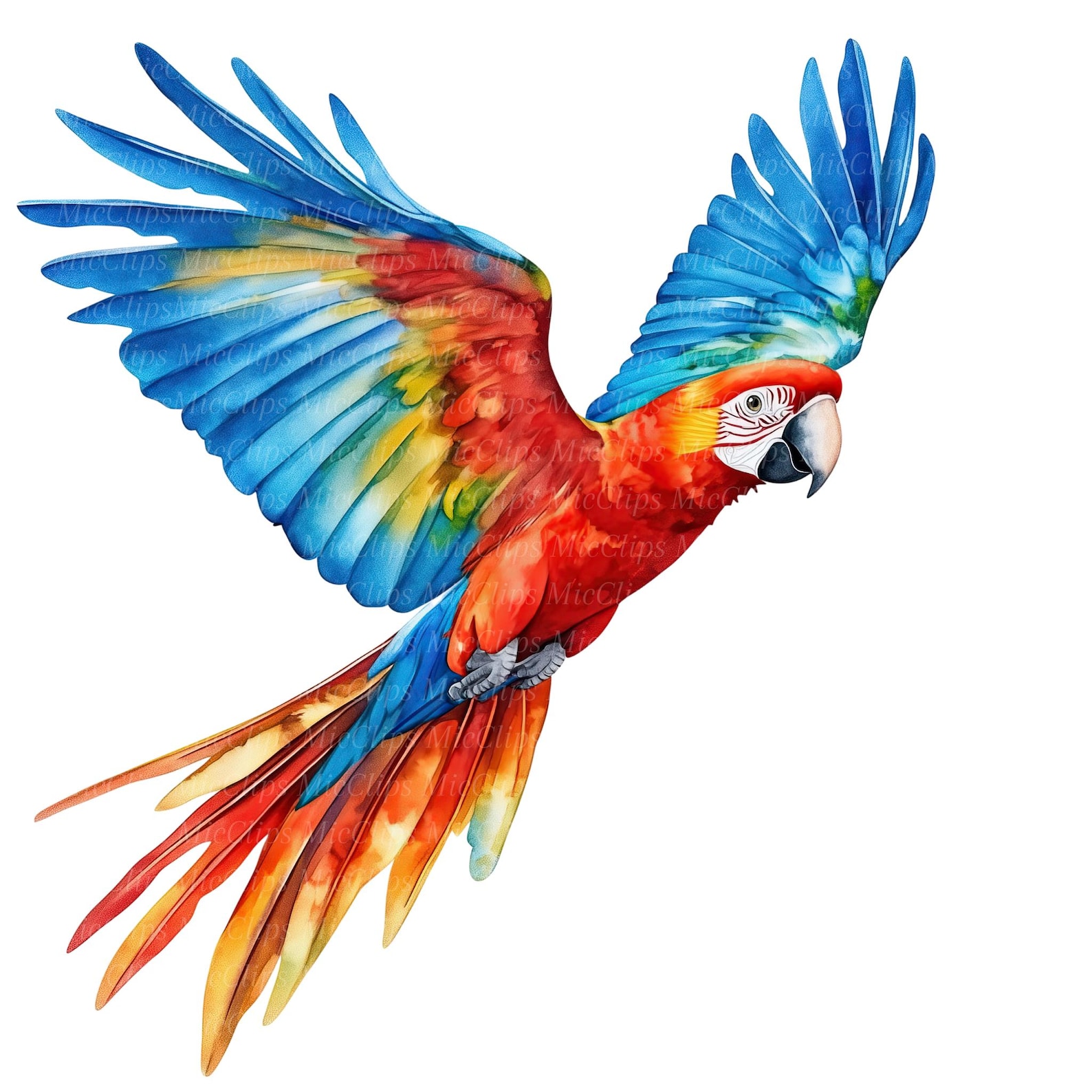 10 Macaw Bird Clipart, Watercolor Birds, Printable Clipart, High ...