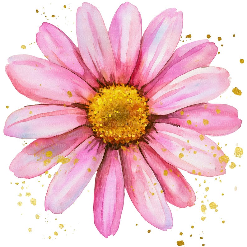 10 Watercolor Daisy Clipart, Flower Clipart, Printable Watercolor ...