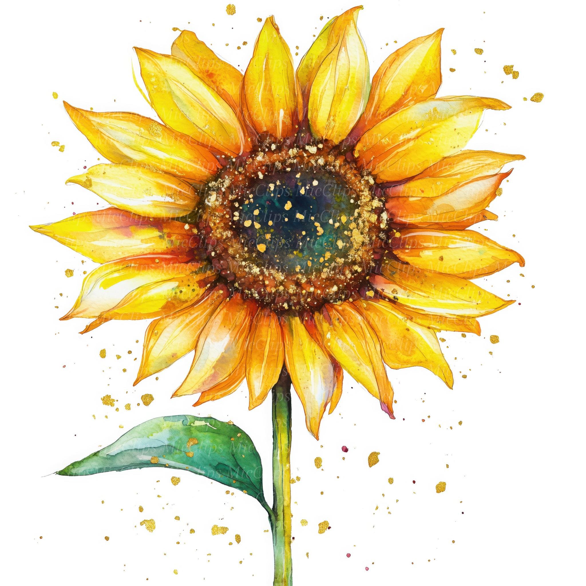10 Watercolor Sunflower Clipart, Watercolor Flower, Printable ...