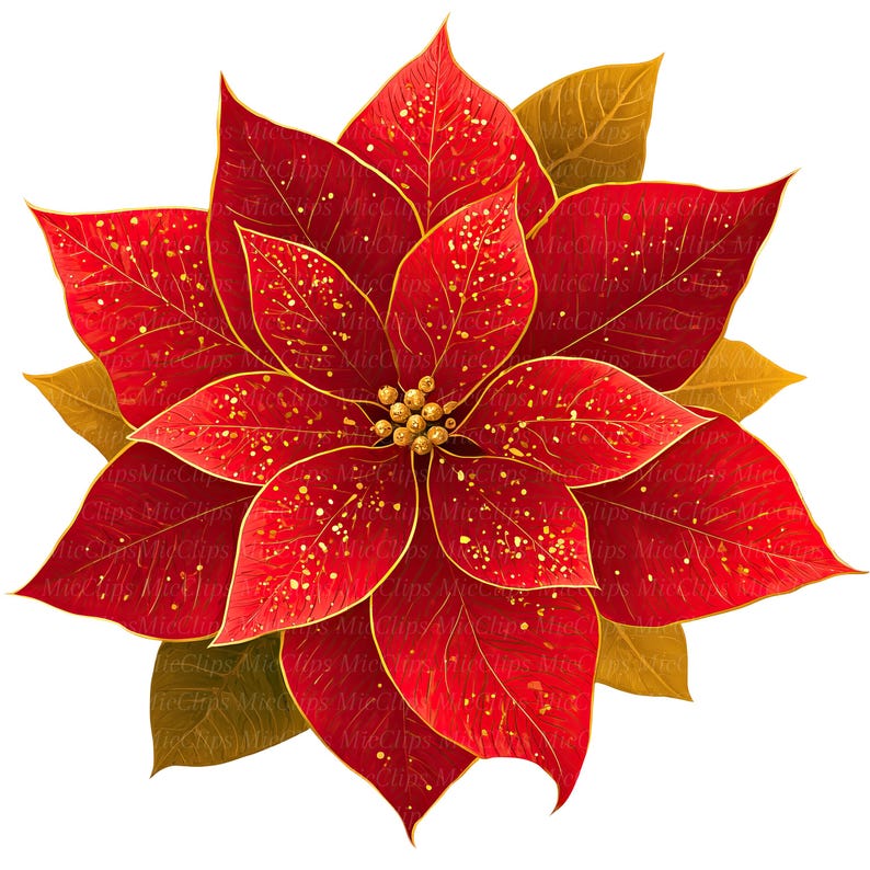 10 Poinsettia Flower Clipart, Christmas Floral Decorations, Red and ...