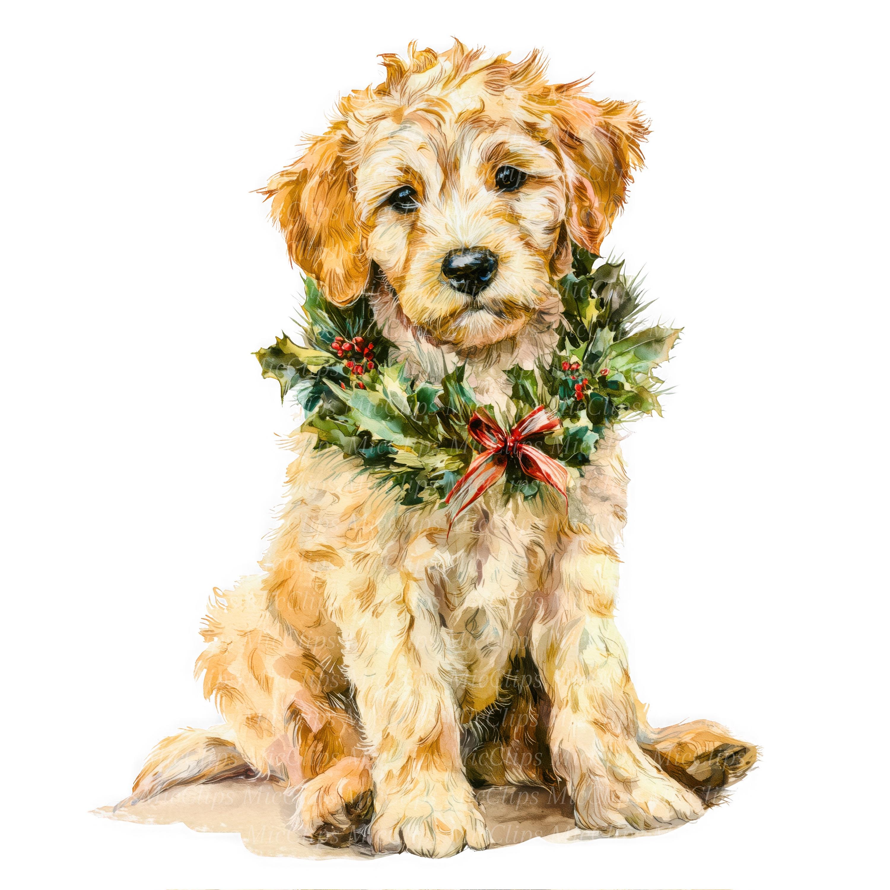 10 Festive Baby Labradoodles, Golden Doodle With a Santa Hat, Christmas ...