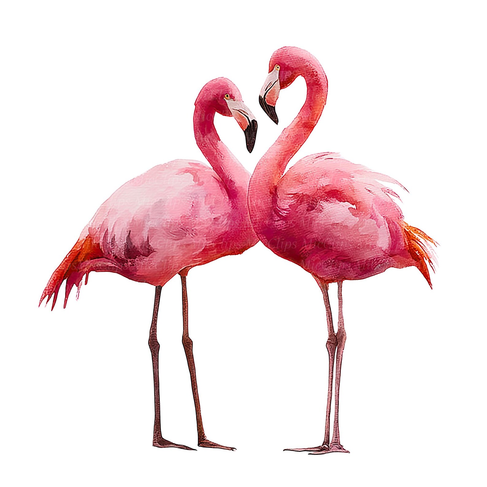 10 Watercolor Flamingo Clipart, Pink Flamingo PNG, Tropical Bird ...