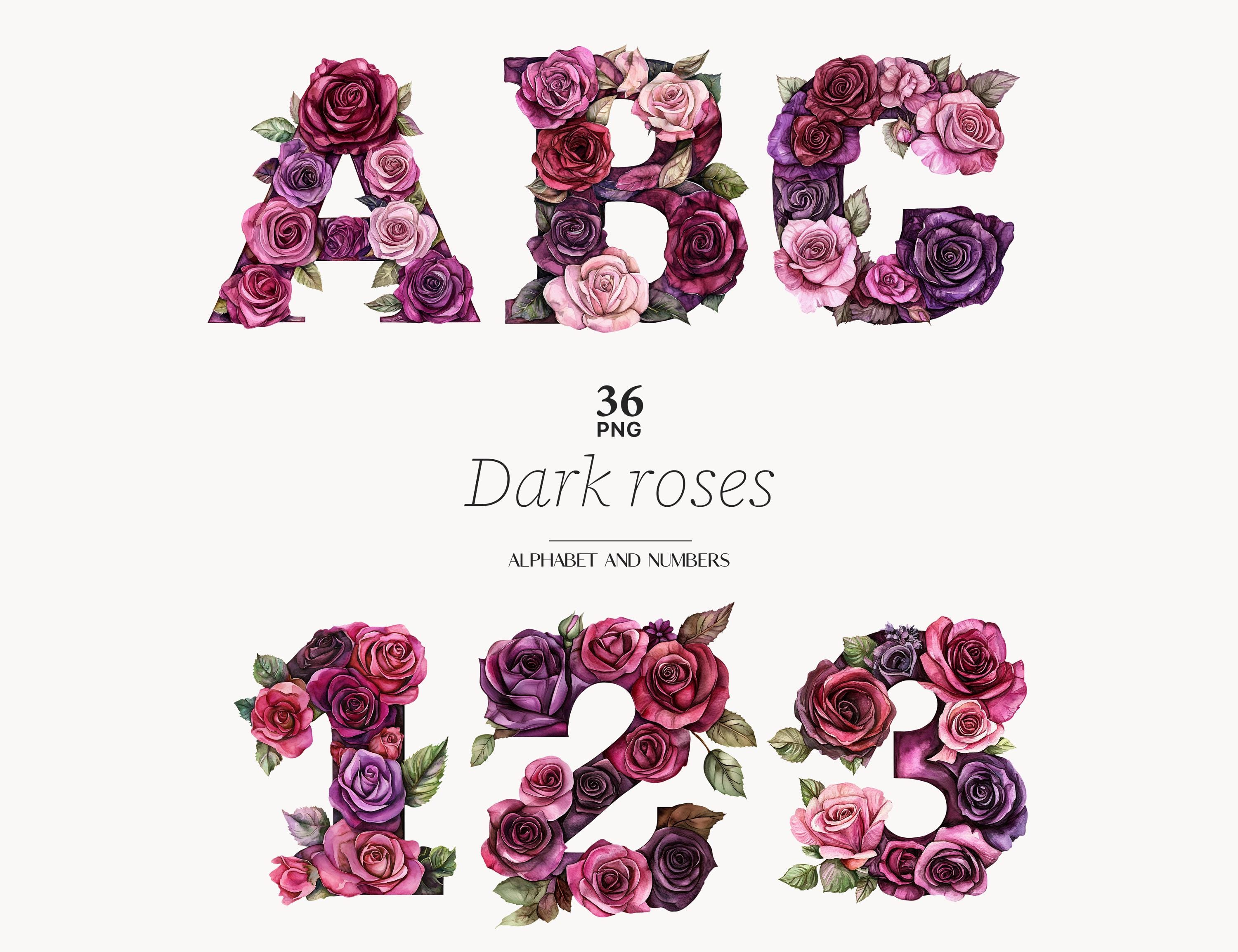 Dark Roses Alphabet and Numbers Png Burgundy and Purple Roses Letters ...