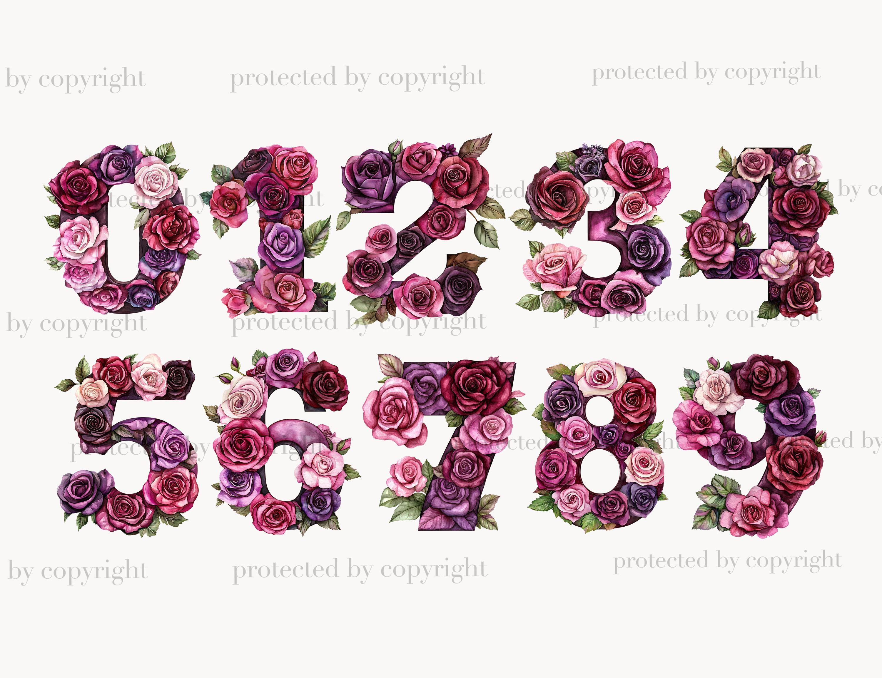 Dark Roses Alphabet and Numbers Png Burgundy and Purple Roses Letters ...