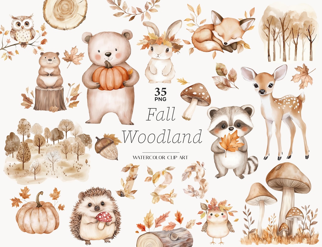 Fall Woodland Clipart: Autumn Animals, Fox, Bear (PNG Files) - Etsy