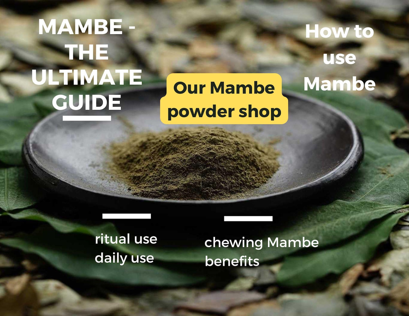 Mambe the Ultimate Guide - DIGITAL DOWNLOAD ONLY - Etsy