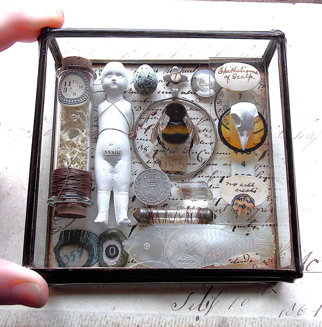 Larger Miniature Museum - Glass Box Assemblage Curiosity Art Object - Etsy