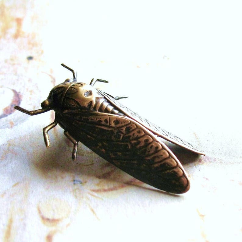 Lovely Bug Antiqued Brass Cicada Bug Beetle Brooch Tie Pin - Etsy