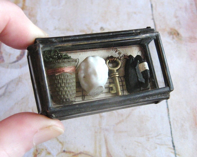 Pocket Museum Glass Box Assemblage Curiosity Art Object - Etsy